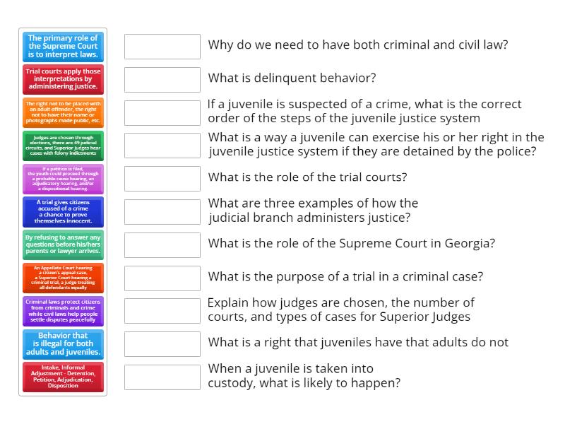 Judicial Branch & Juvenile Justice 1/2 - Match up