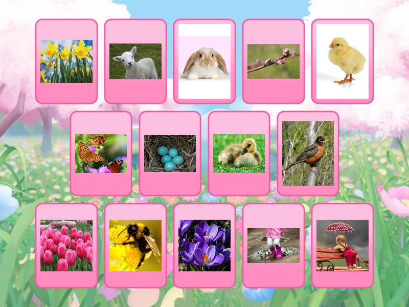 Spring Guess Who - Fichas giratorias