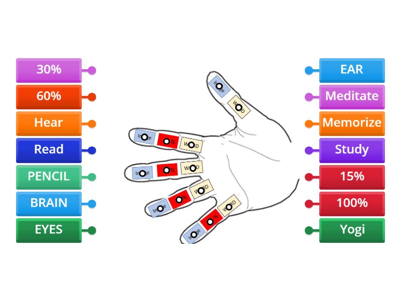 Sword Hand Grip Practice - Labelled diagram