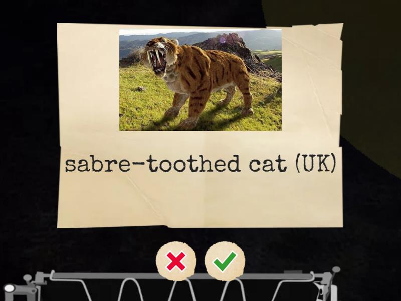 GEOLOGICAL PERIODS - Flash cards