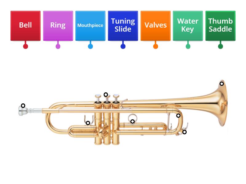 Parts of the Instrument (Trumpet) - Labelled diagram