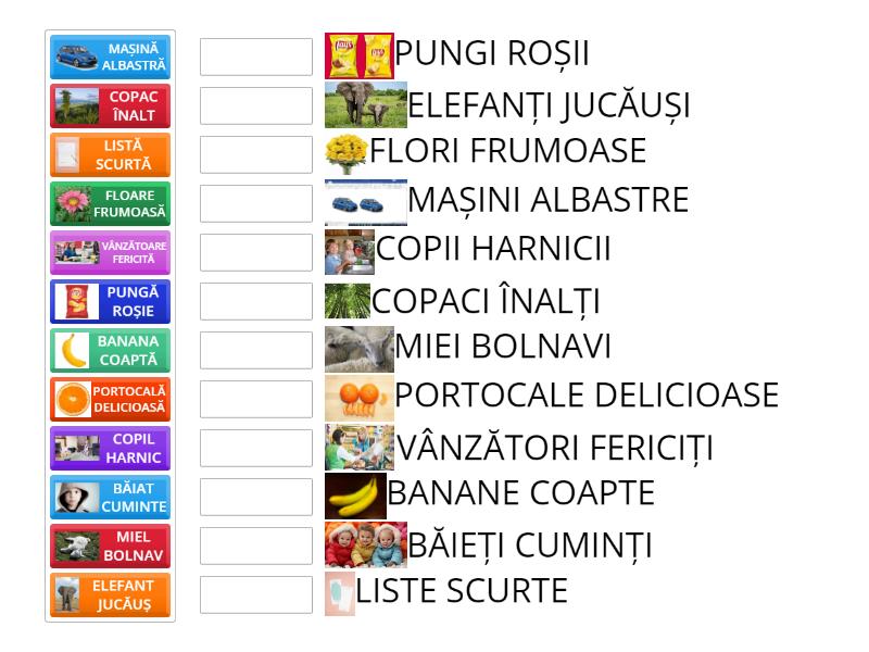 SINGULAR - PLURAL - Match up