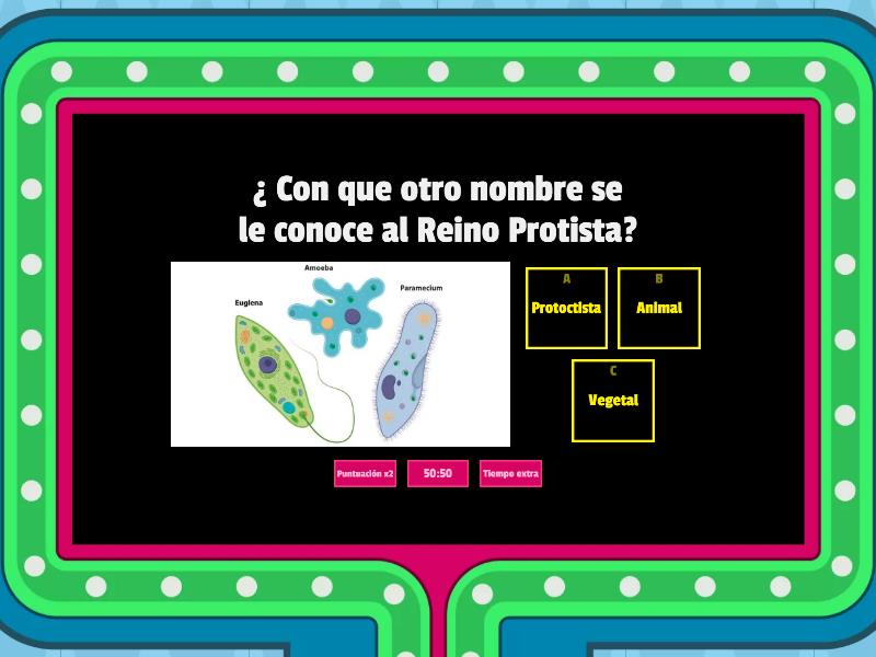 REINO PROTISTA - Gameshow quiz