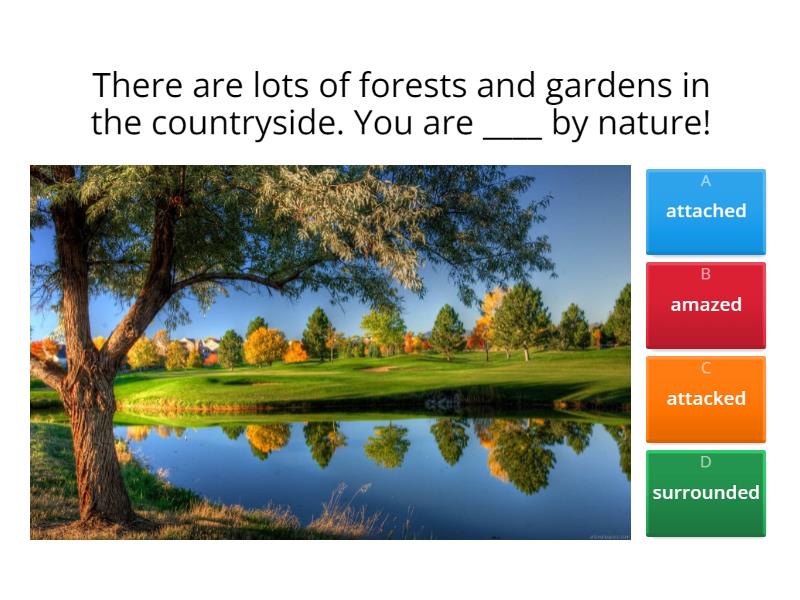 Countryside and city - Quiz