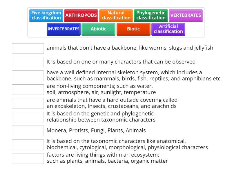 SCIENCE - TYPES OF CLASSIFICATION - YEAR 6 - Match up