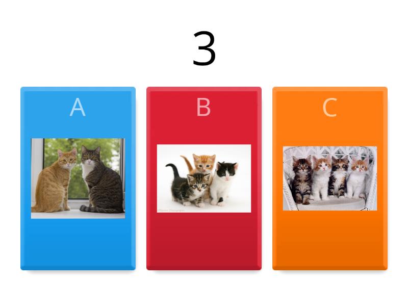 Numbers 1-4 - Quiz