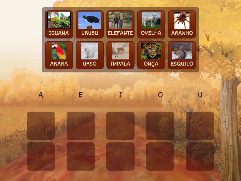 VOGAIS DOS ANIMAIS - Group sort