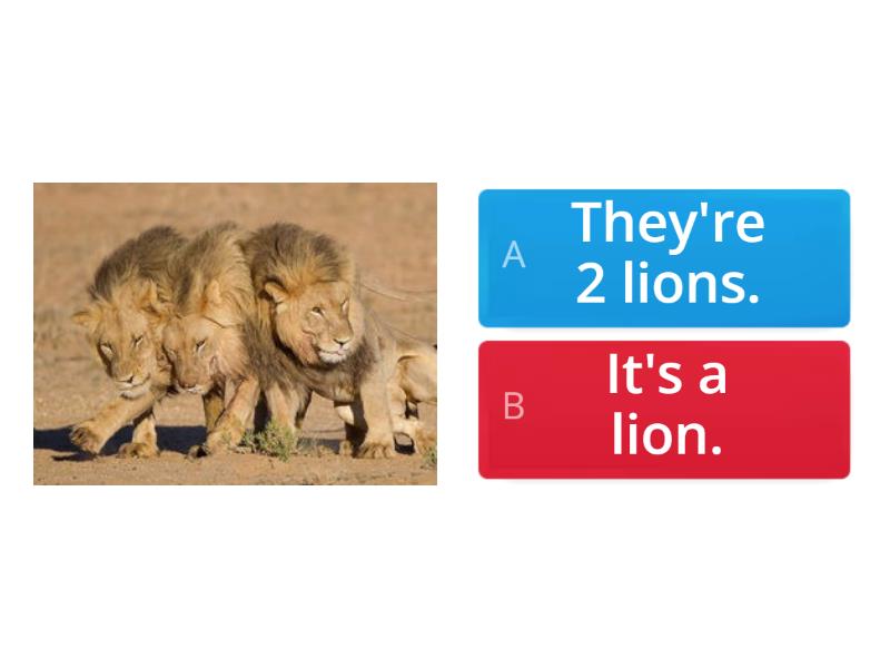 singular and plural with animal words - Quiz