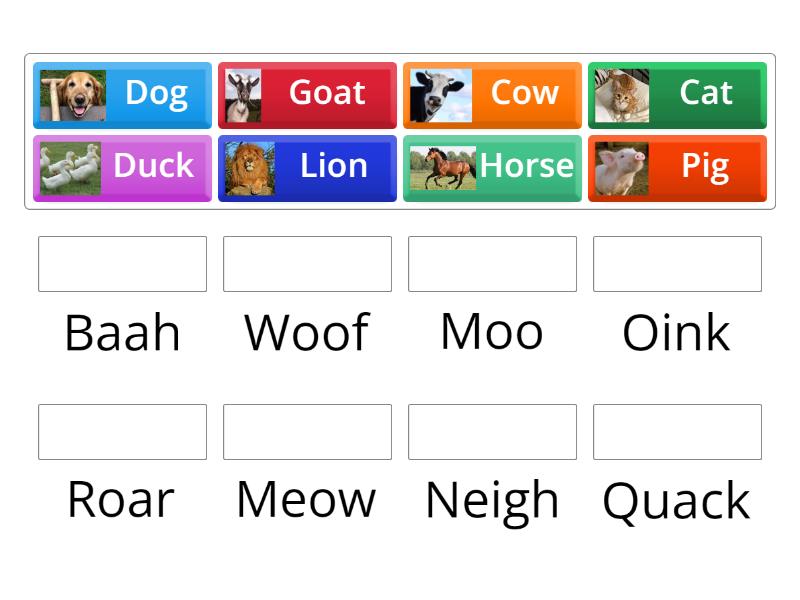 Animal Sounds - Match up