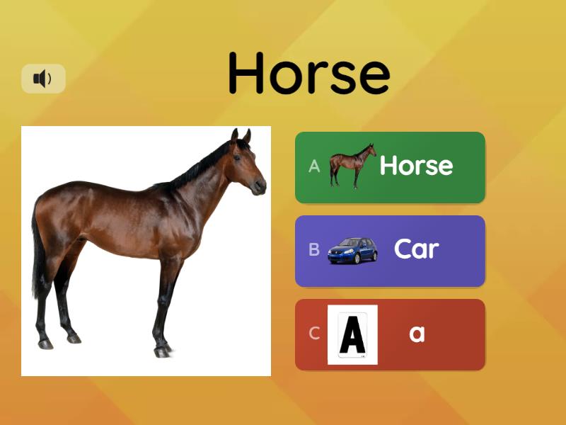 Level 1 Edmark Words - Quiz