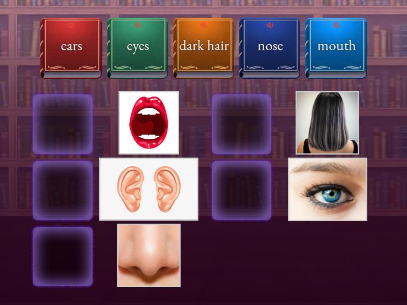 Body parts match - Match up