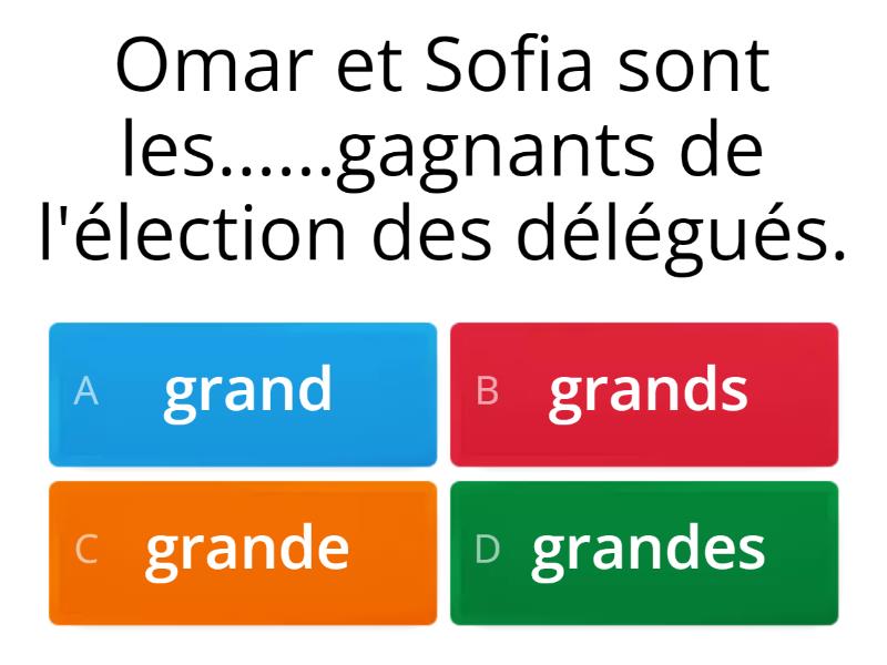 Accord de l'adjectif - Quiz