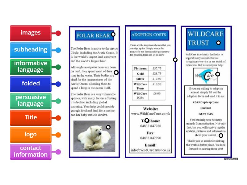 Features of a Leaflet (Labelling) - Labelled diagram