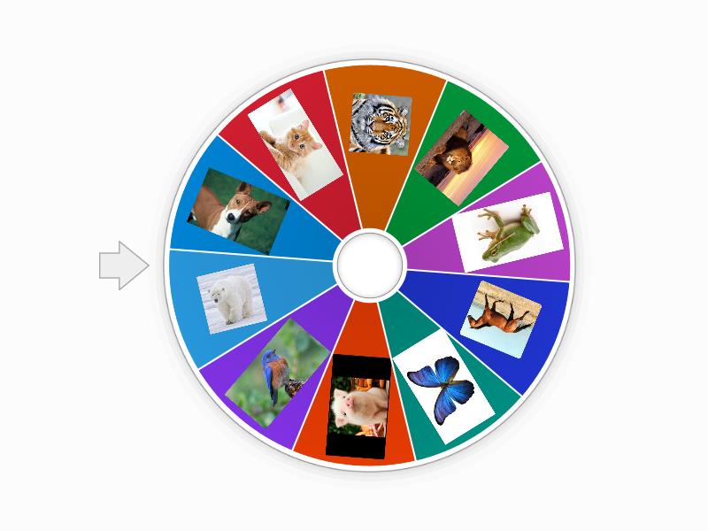 Animals - Spin the wheel