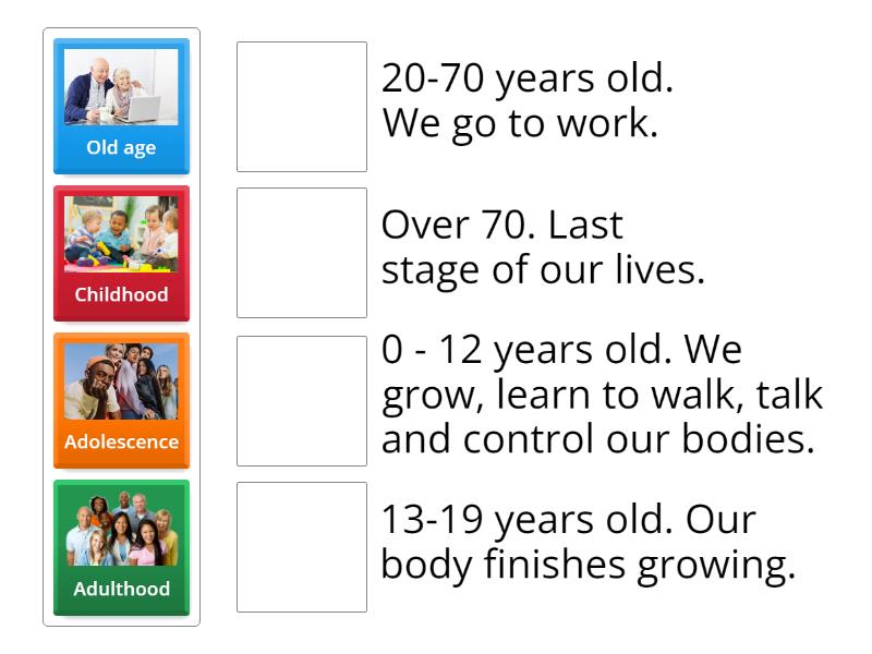 Stages of human being's life - Match up