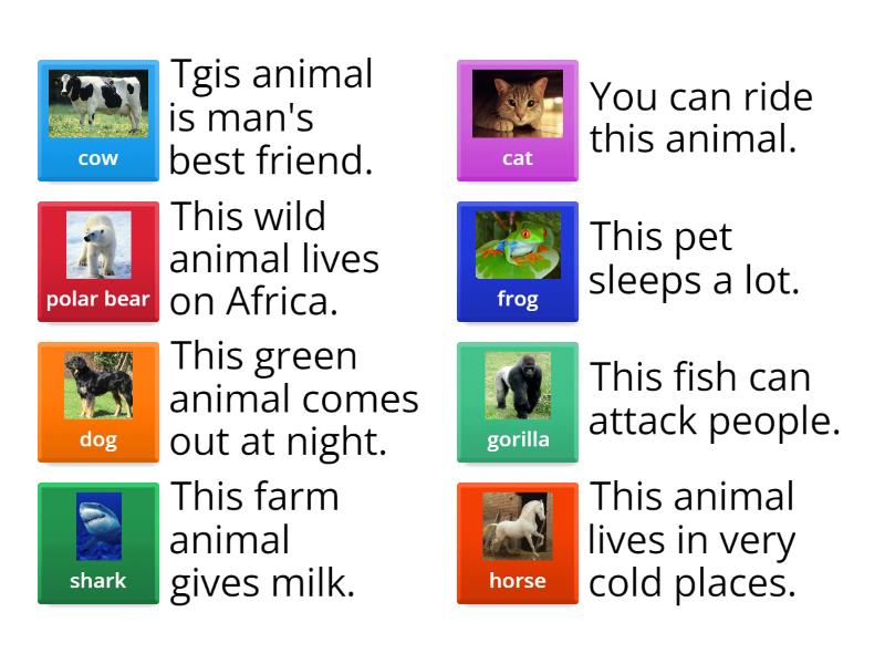 EO1 U5 p.55 Animals description - Unscramble