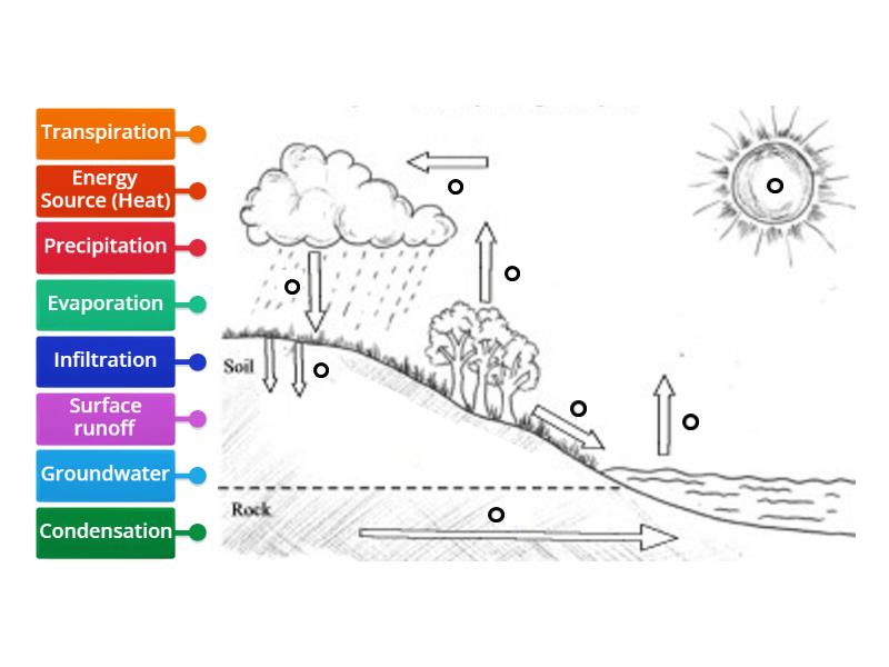 The Water Cycle - Labelled diagram