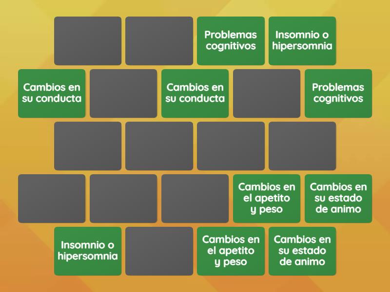 Reconocer problemas de Salud Mental - Matching pairs