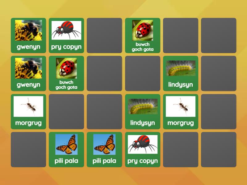 Trychfilod - parau - Matching pairs