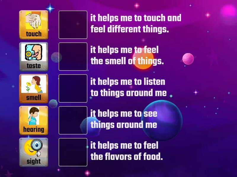 why our 5 senses matter - Match up