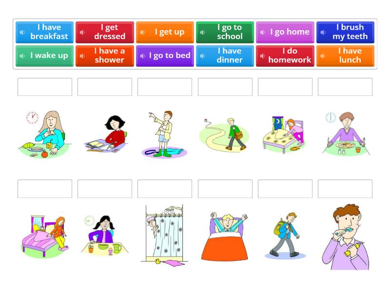 Daily routine - Match up