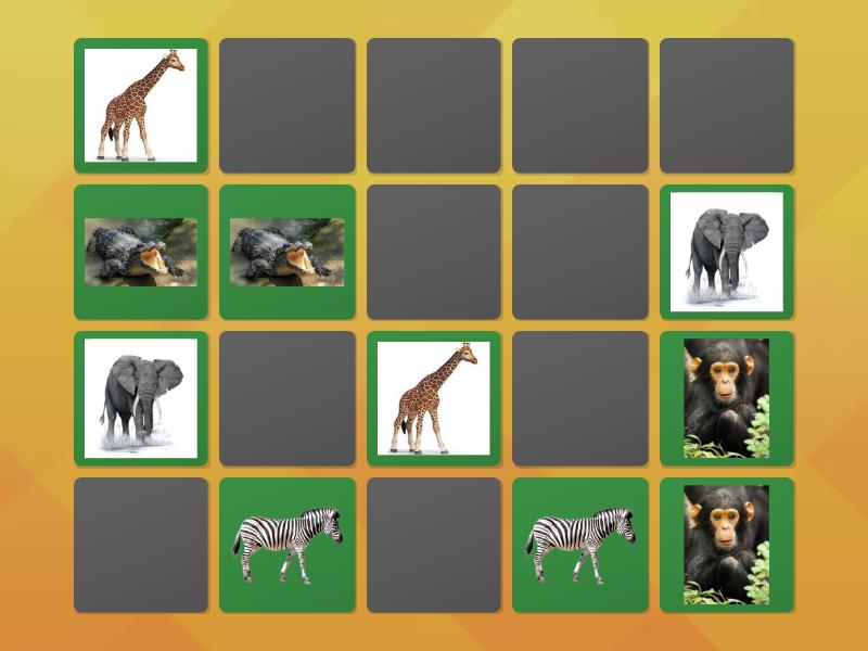 ZOO - Matching pairs