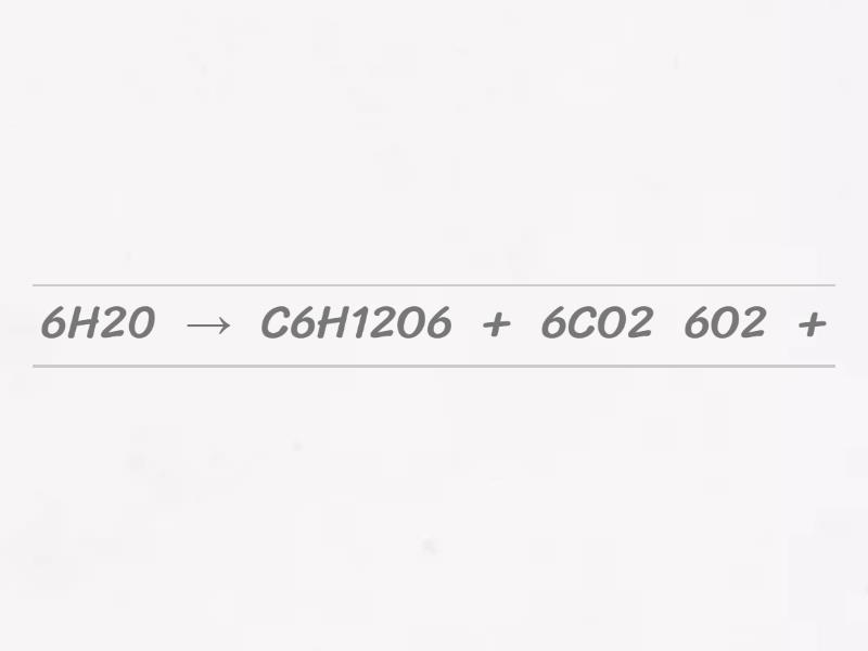 Photosynthesis equation - chemical symbols - Unjumble