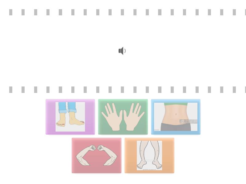 MY BODY - 3 - Find the match