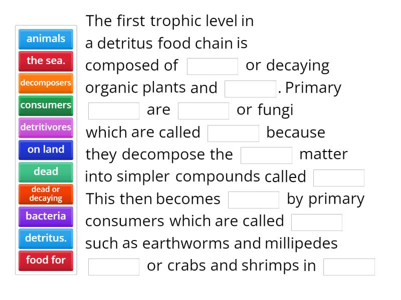 Detritus Food Chains - Complete the sentence