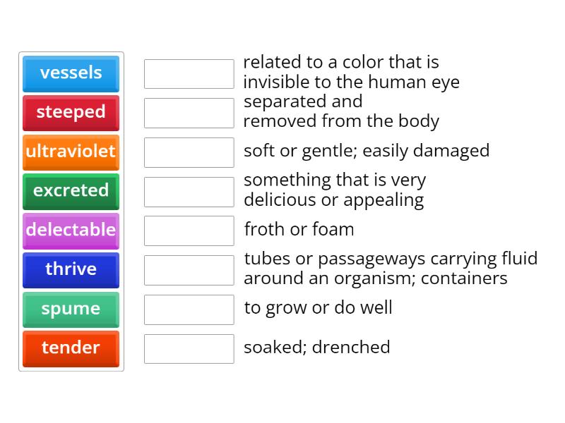 Poetry Vocabulary words - Match up