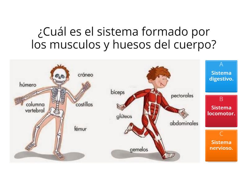 SABERES Y PENSAMIENTO CIENTIFICO (CIENCIAS NATURALES) - Questionário
