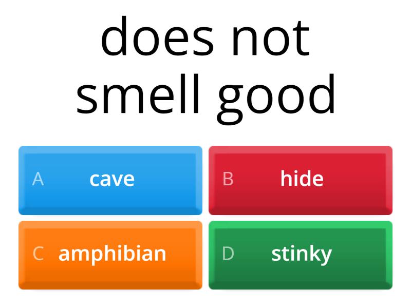 vocabulary Stinky game - Quiz