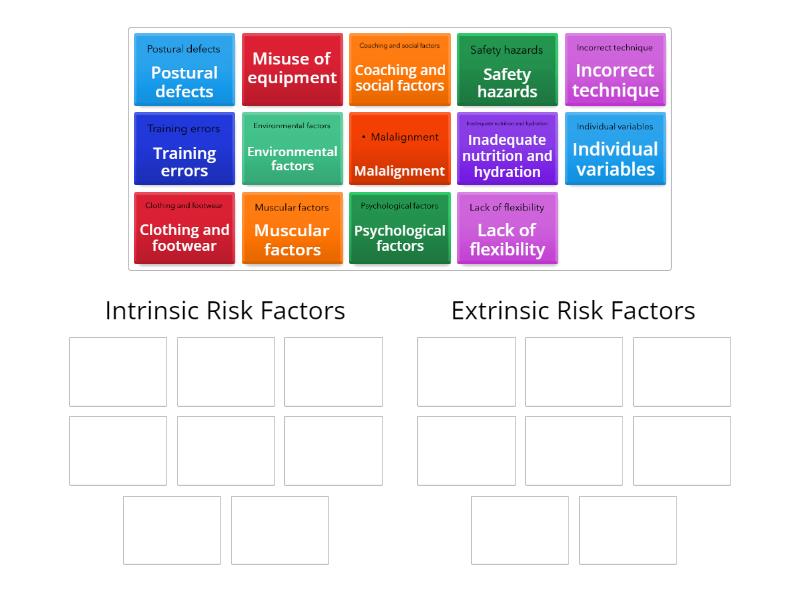 Intrinsic and Extrinsic Risk Factors for Sports Injury - Group sort