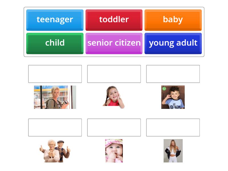 Age stages - Match up