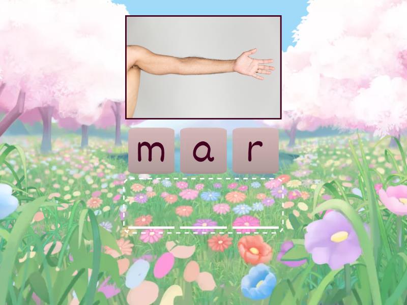 Cambridge Starters Vocabulary: Body Parts - Anagram