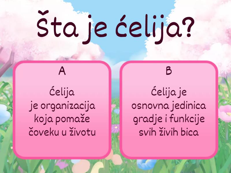 Kviz za 5.razred - Квиз