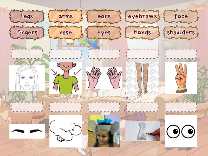 ff1 3 body parts - Match up