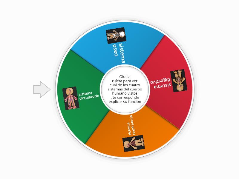 Sistemas del cuerpo humano y su función - Random wheel