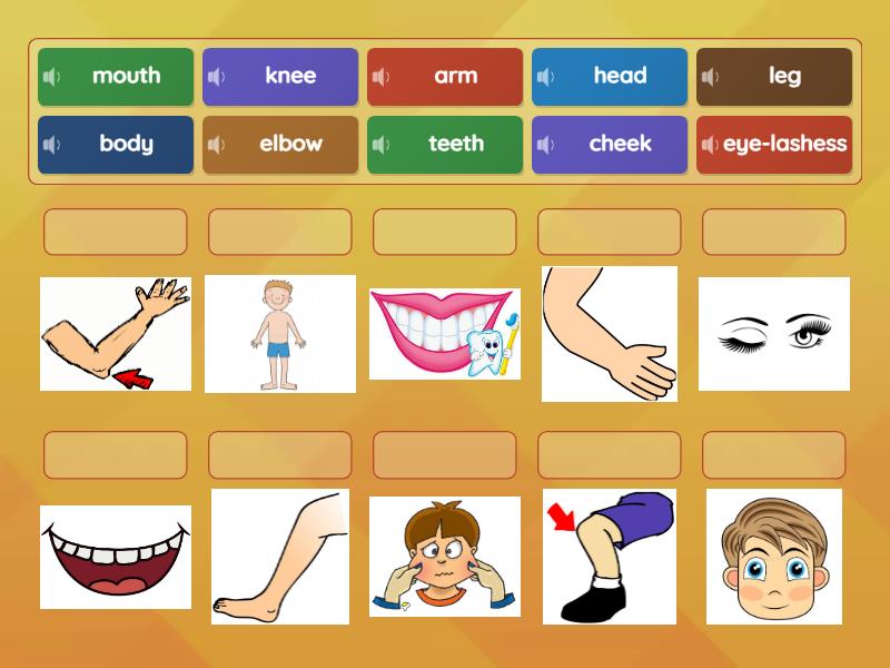 match body parts - Match up