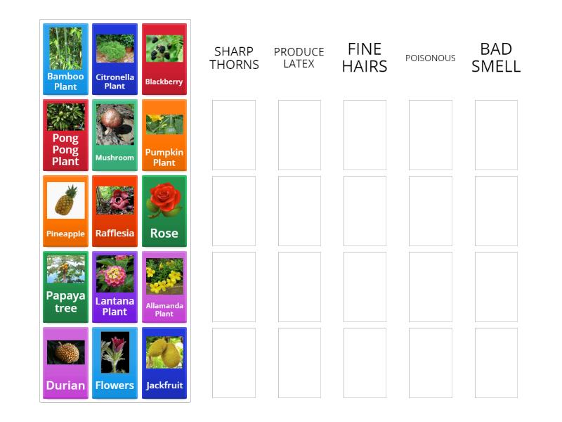 PLANTS (PROTECTION FROM ENEMIES) Year 5 DLP Science - Group sort