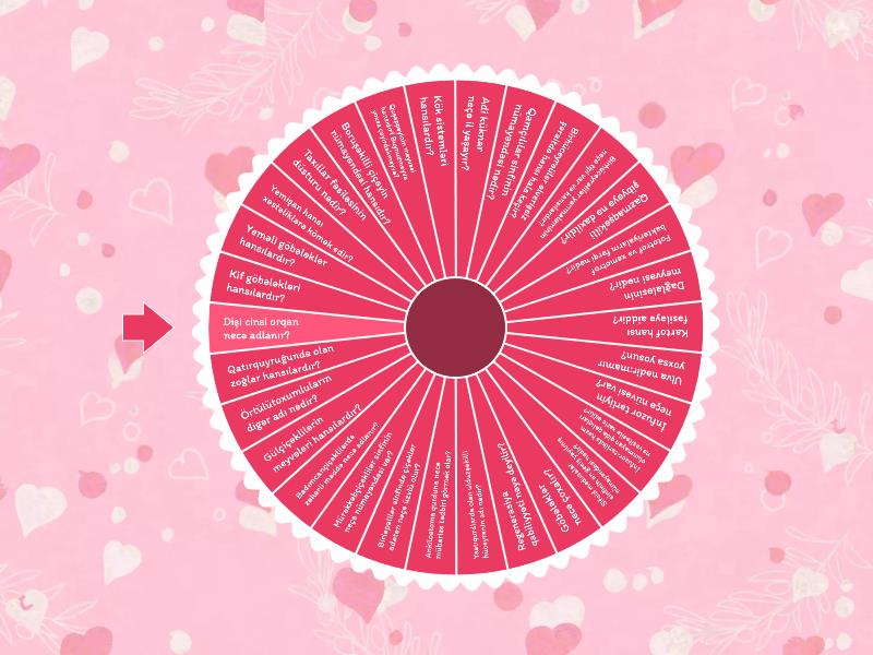 BİOLOGİYA 7B AYAN AHMADOVA - Random wheel