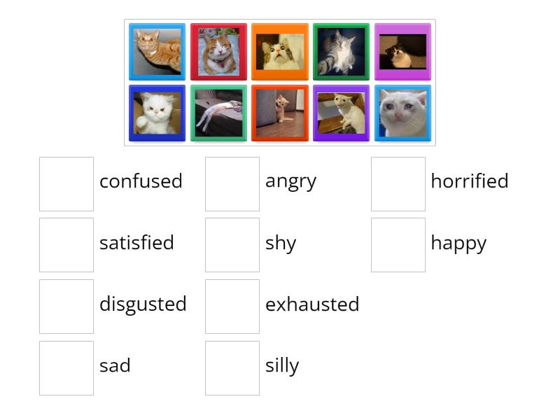 emotions&feelings vocabulary - Match up