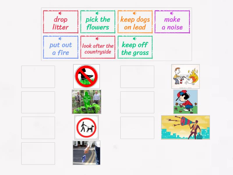 Starlight 4 Module 5 The Country Code Matching - Match up