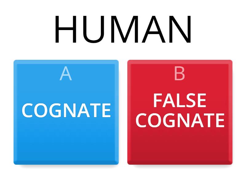 COGNATES AND FALSE COGNATES 2.0 - Quiz