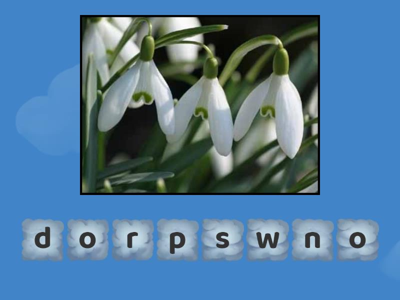Spring - Anagram