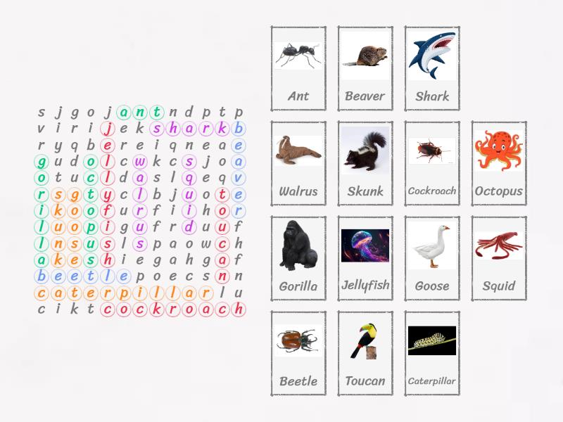 Invertebrates & Vertebrates animals - Wordsearch