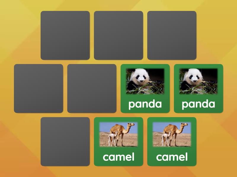 K1 WEEK 24 - Matching pairs