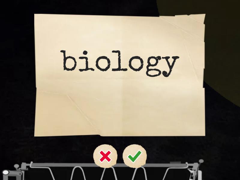 LIBRARY - Flash cards