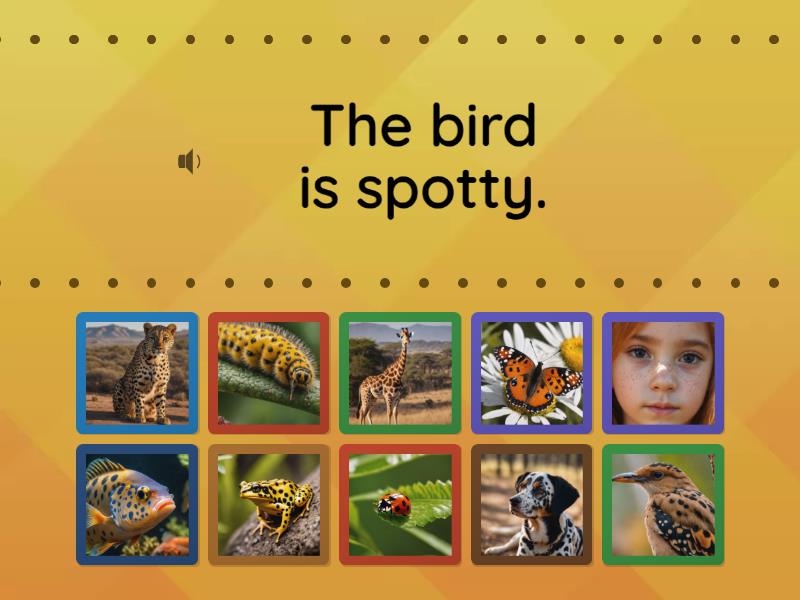 We Are Spotty - Find the match