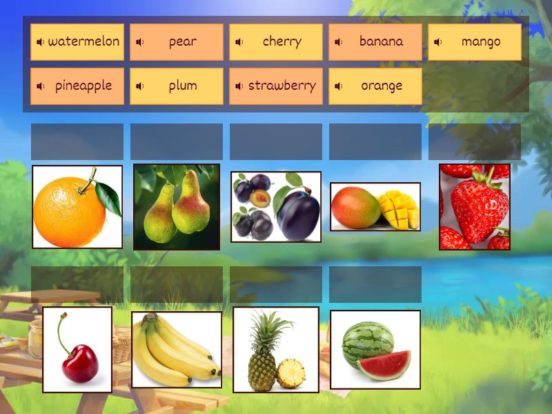 fruit - Match up